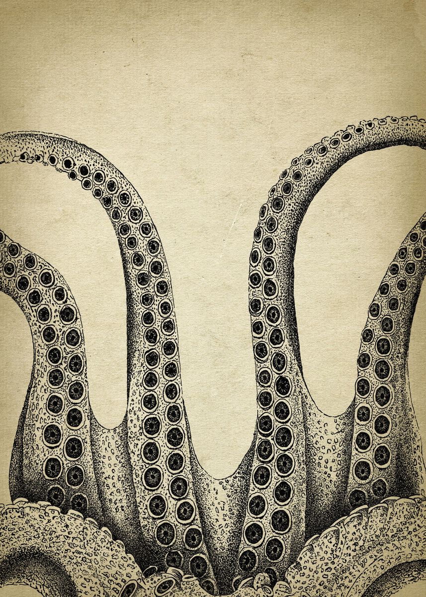 'Octopus body piece 2' Poster, picture, metal print, paint by ...