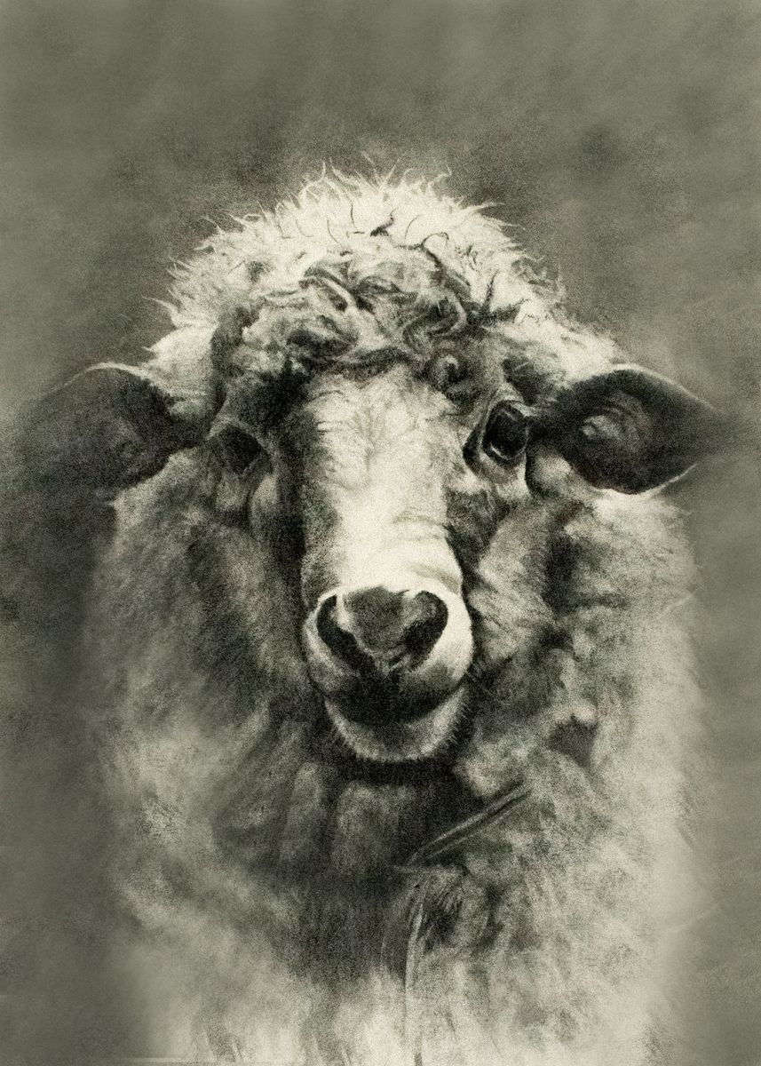 'The Holy Lamb' Poster, picture, metal print, paint by Art of Casti ...