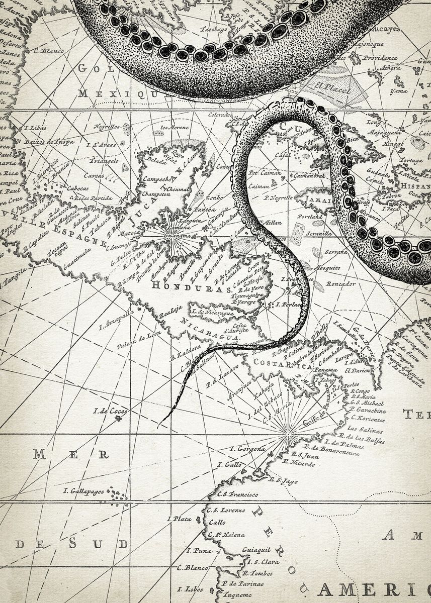 'Octopus Map Art Part 4' Poster, picture, metal print, paint by ...