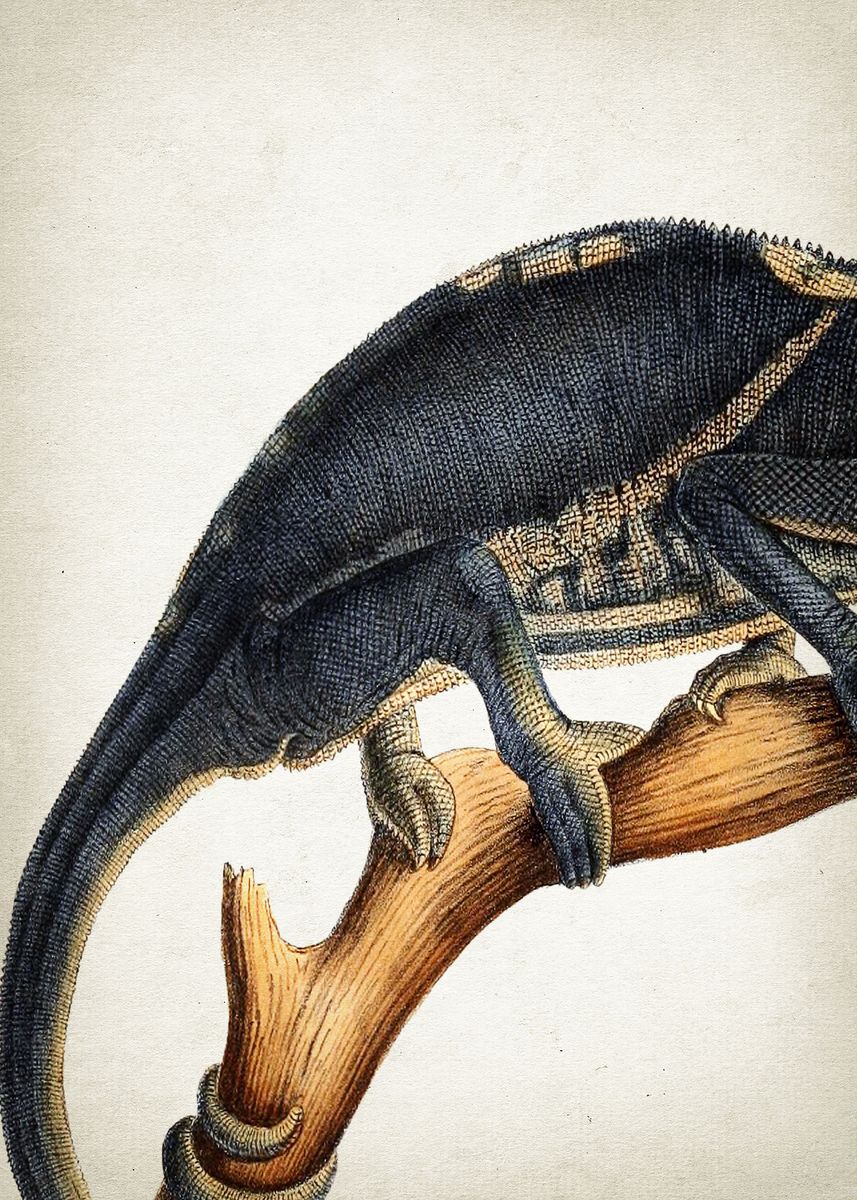 'Chameleons tail piece 1' Poster, picture, metal print, paint by ...