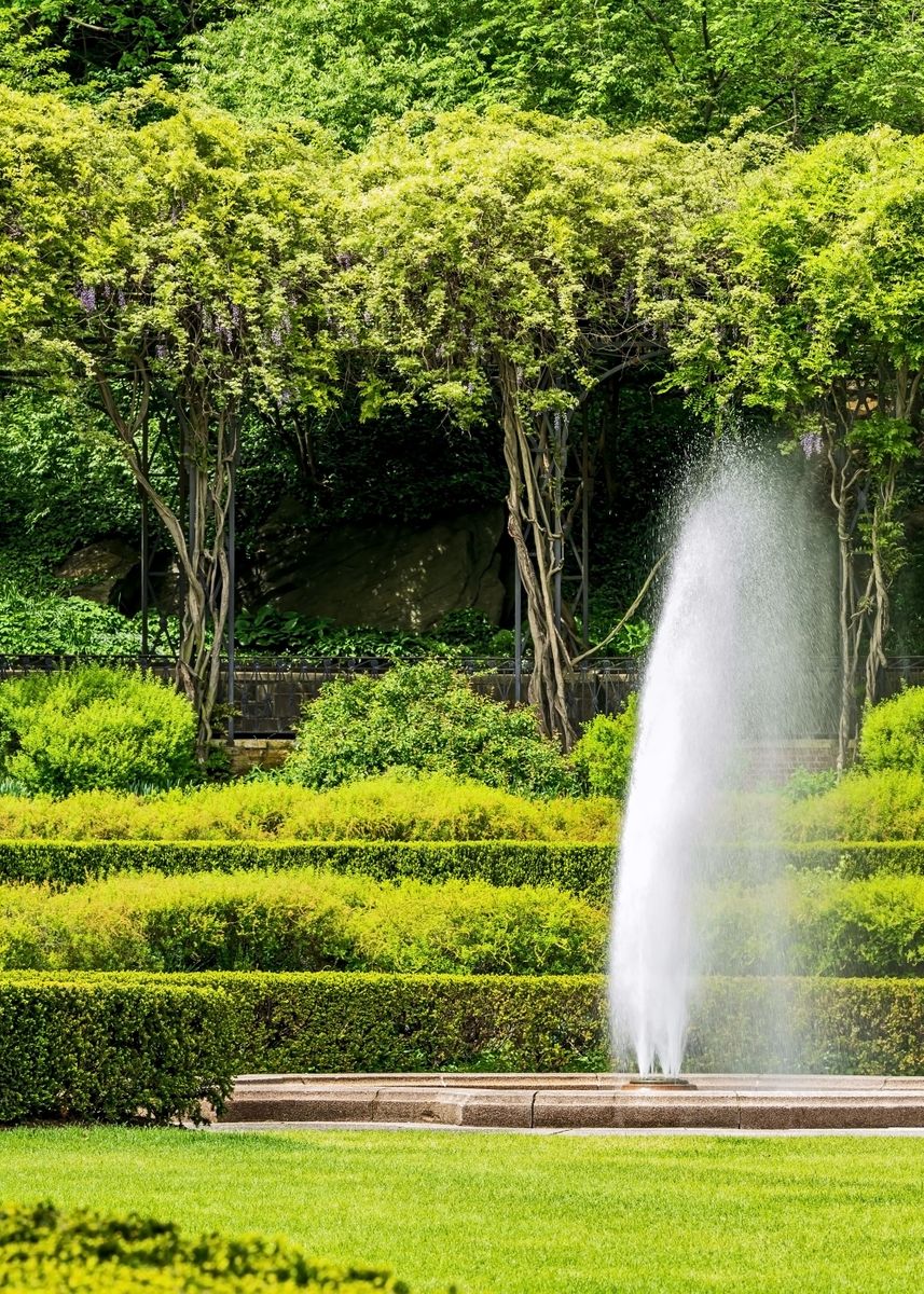 'Conservatory Garden Greens' Poster, picture, metal print, paint by ...