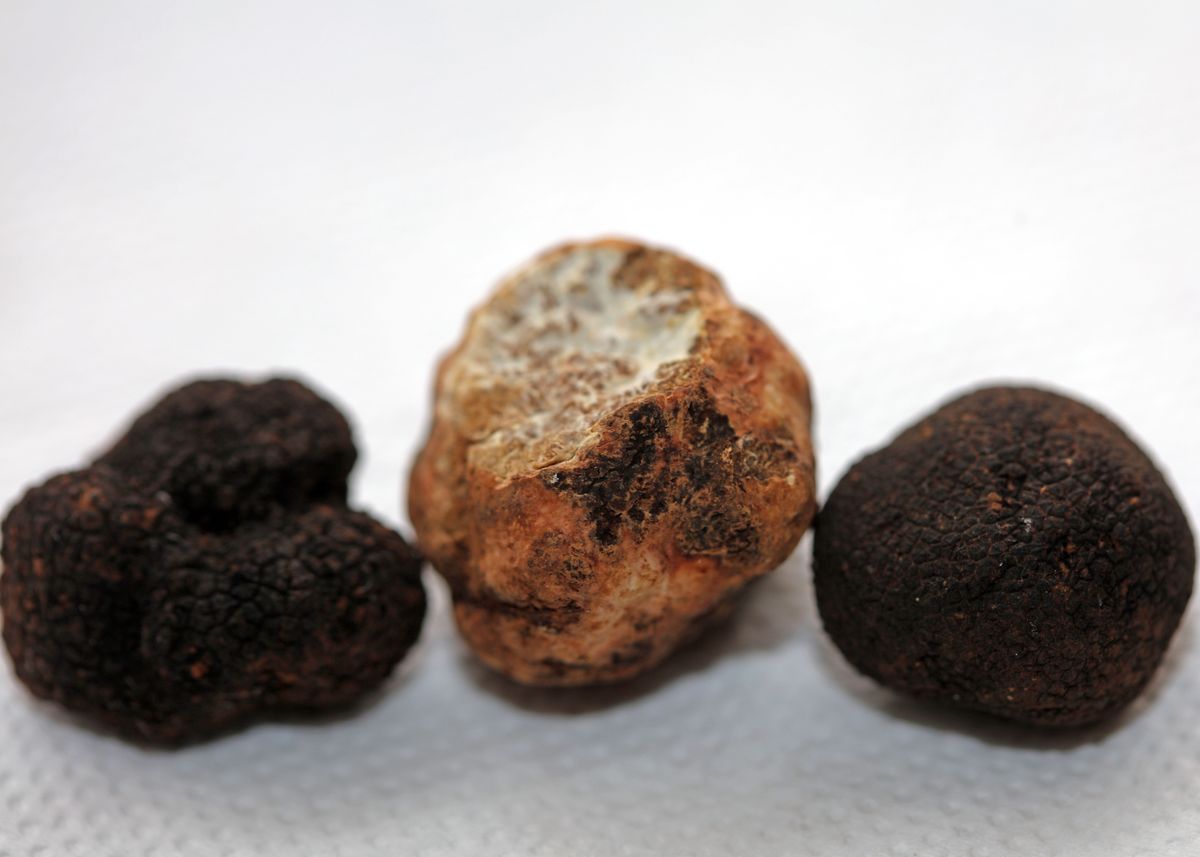 'White and black truffles' Poster by BakalaeroZz Photography | Displate