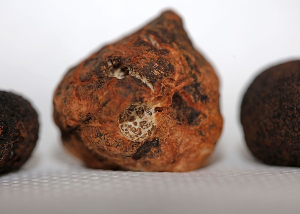 'White and black truffles' Poster by BakalaeroZz Photography | Displate