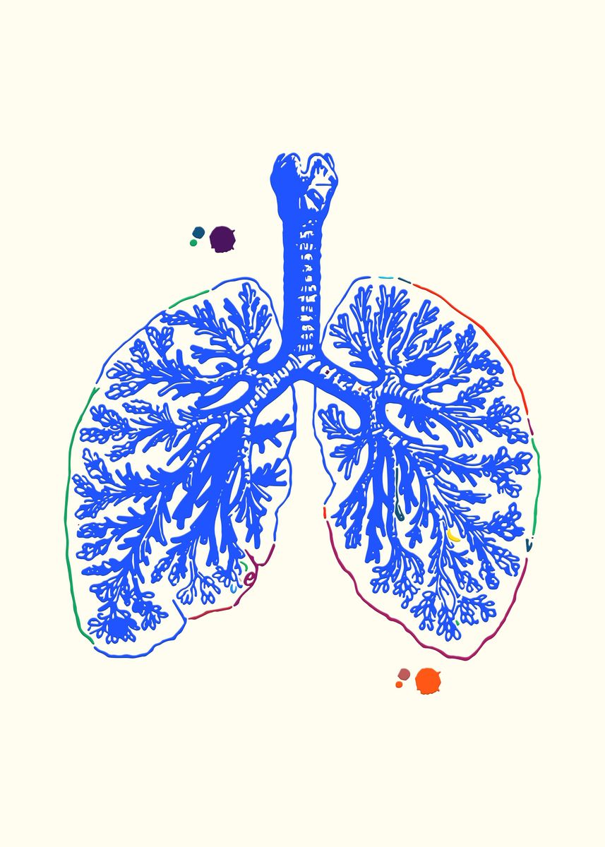 'Anatomical Lungs' Poster, picture, metal print, paint by Dutton Jerrell | Displate