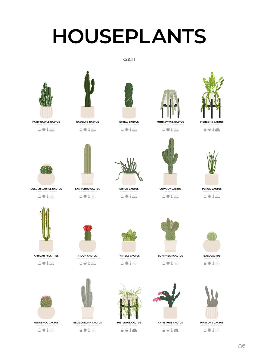 'Cacti Houseplants Chart' Poster, picture, metal print, paint by aio ...