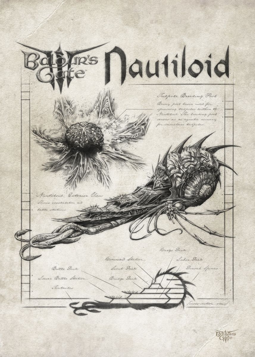 'Nautiloid' Poster, picture, metal print, paint by Dungeons and Dragons ...