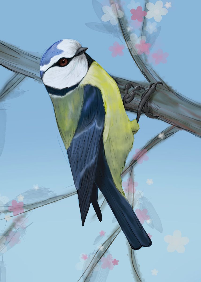 ' Bluetit digital drawing' Poster by Bianca Wisseloo | Displate