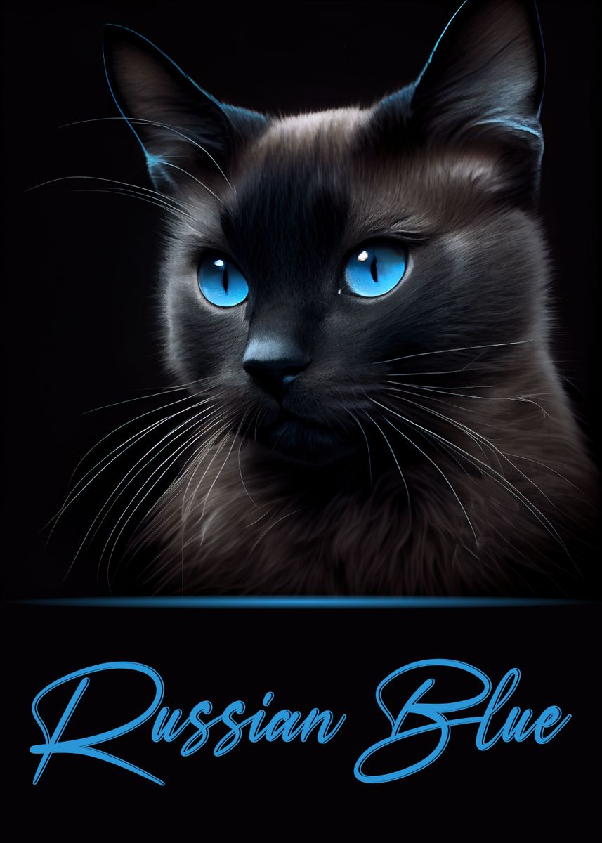'Russian Blue Portrait' Poster, picture, metal print, paint by Artistic ...