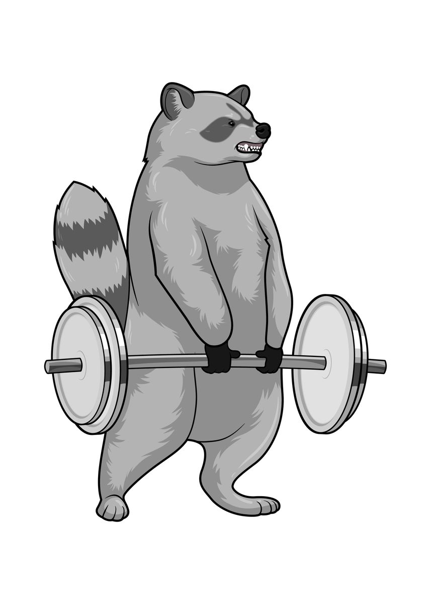 'Racoon Bodybuilder Sports' Poster, picture, metal print, paint by ...