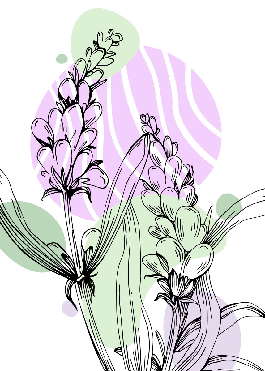 'Lavender Posters for Home' Poster, picture, metal print, paint by ...