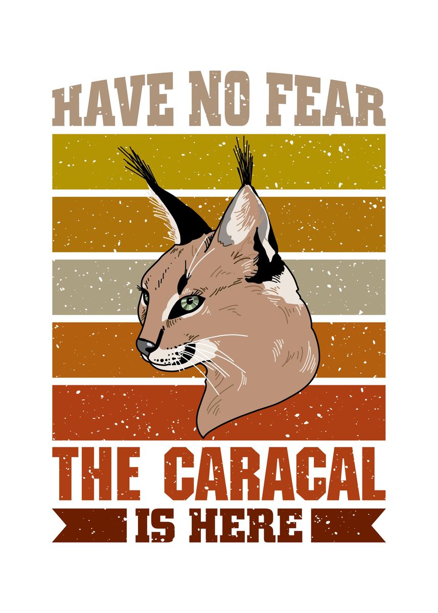 'Caracal' Poster, picture, metal print, paint by Sebastian Wünsche ...