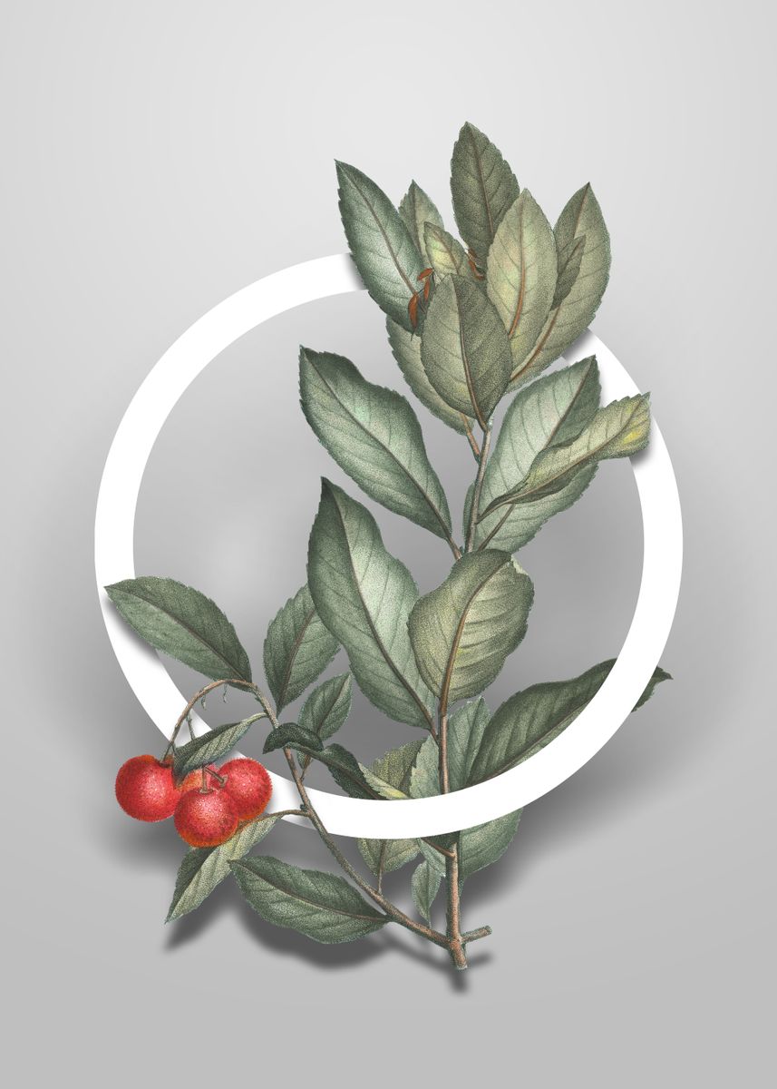 'Strawberry Tree Branch Art' Poster, picture, metal print, paint by ...