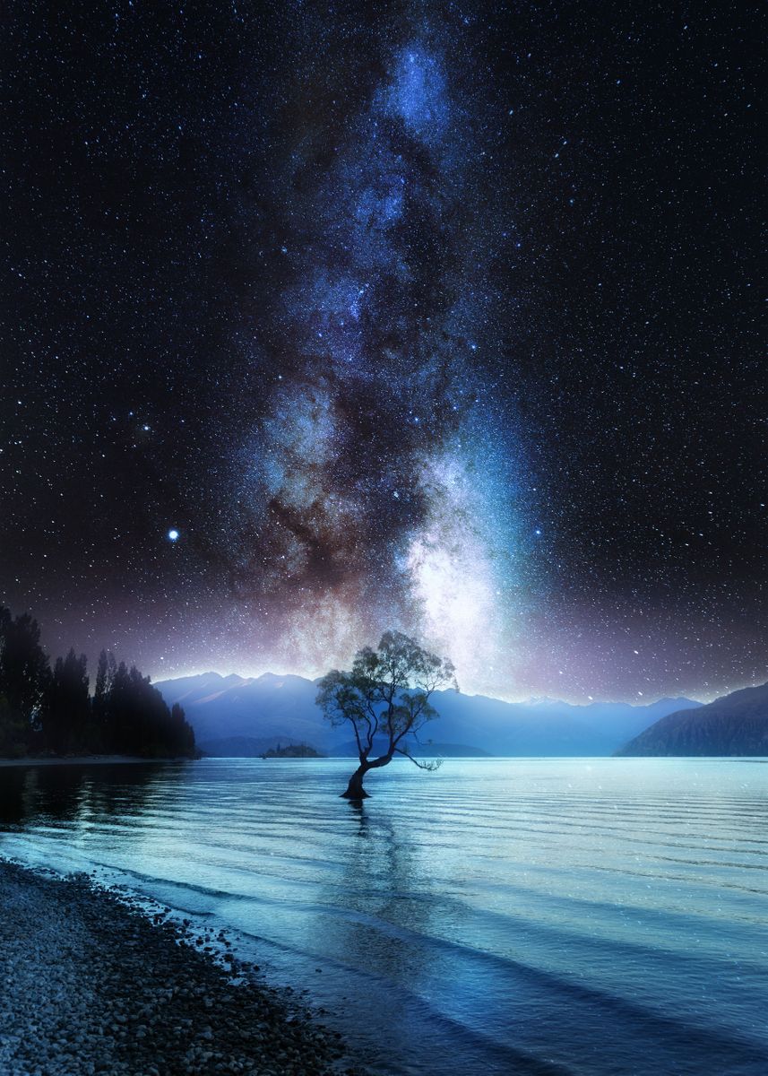 'New Zealand Tree Space' Poster, picture, metal print, paint by Joshua ...