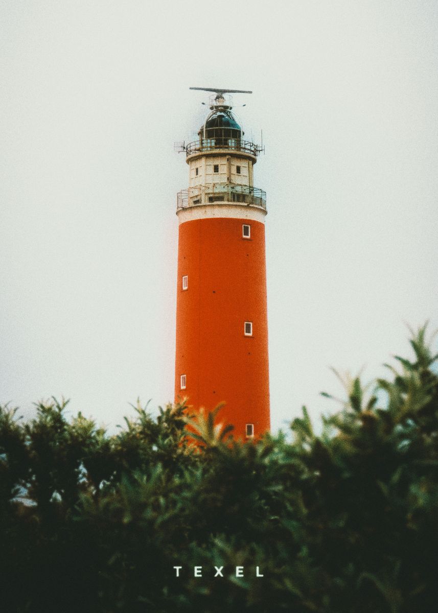 'Texel' Poster, picture, metal print, paint by Visitify | Displate