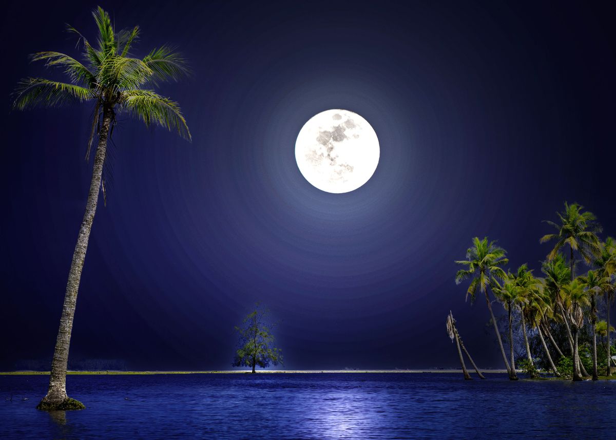 'Moon' Poster by Emilia Ridlehoover | Displate