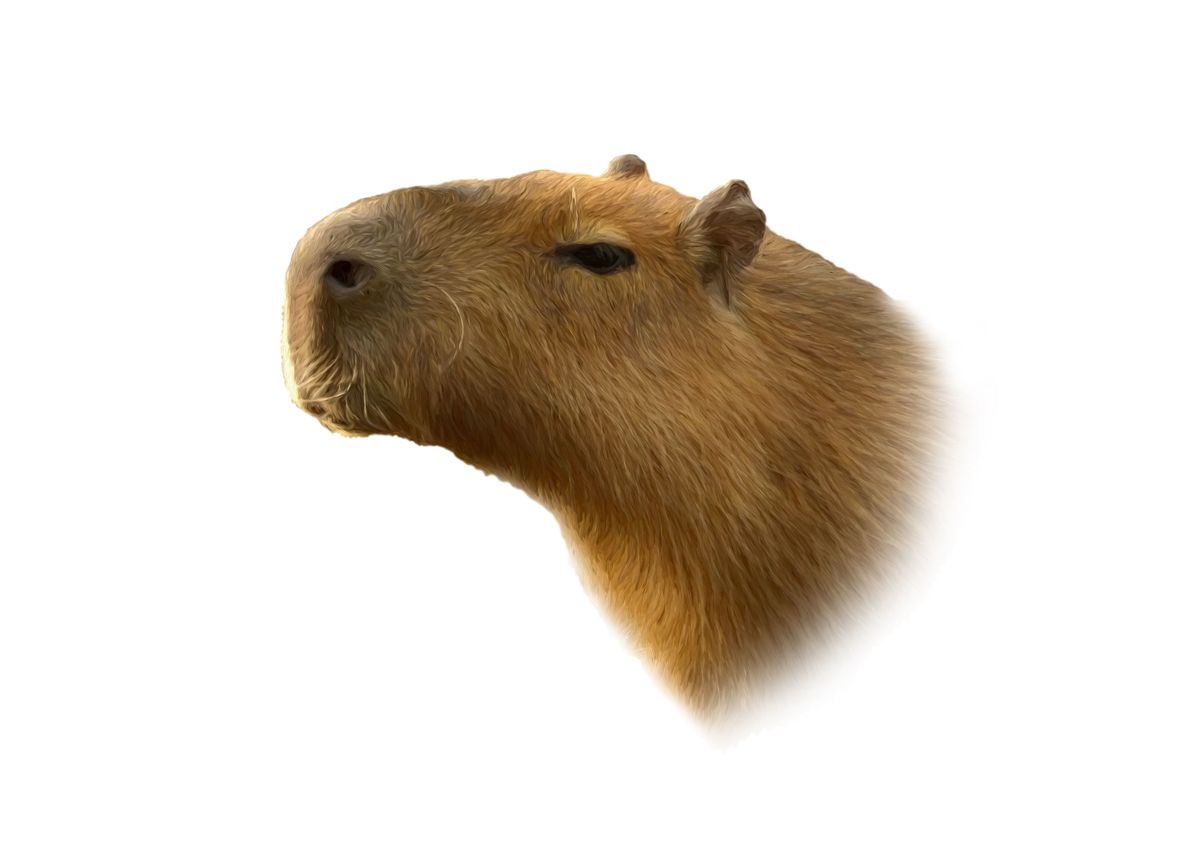 'Capybara portrait' Poster by Gyula Gvardián | Displate