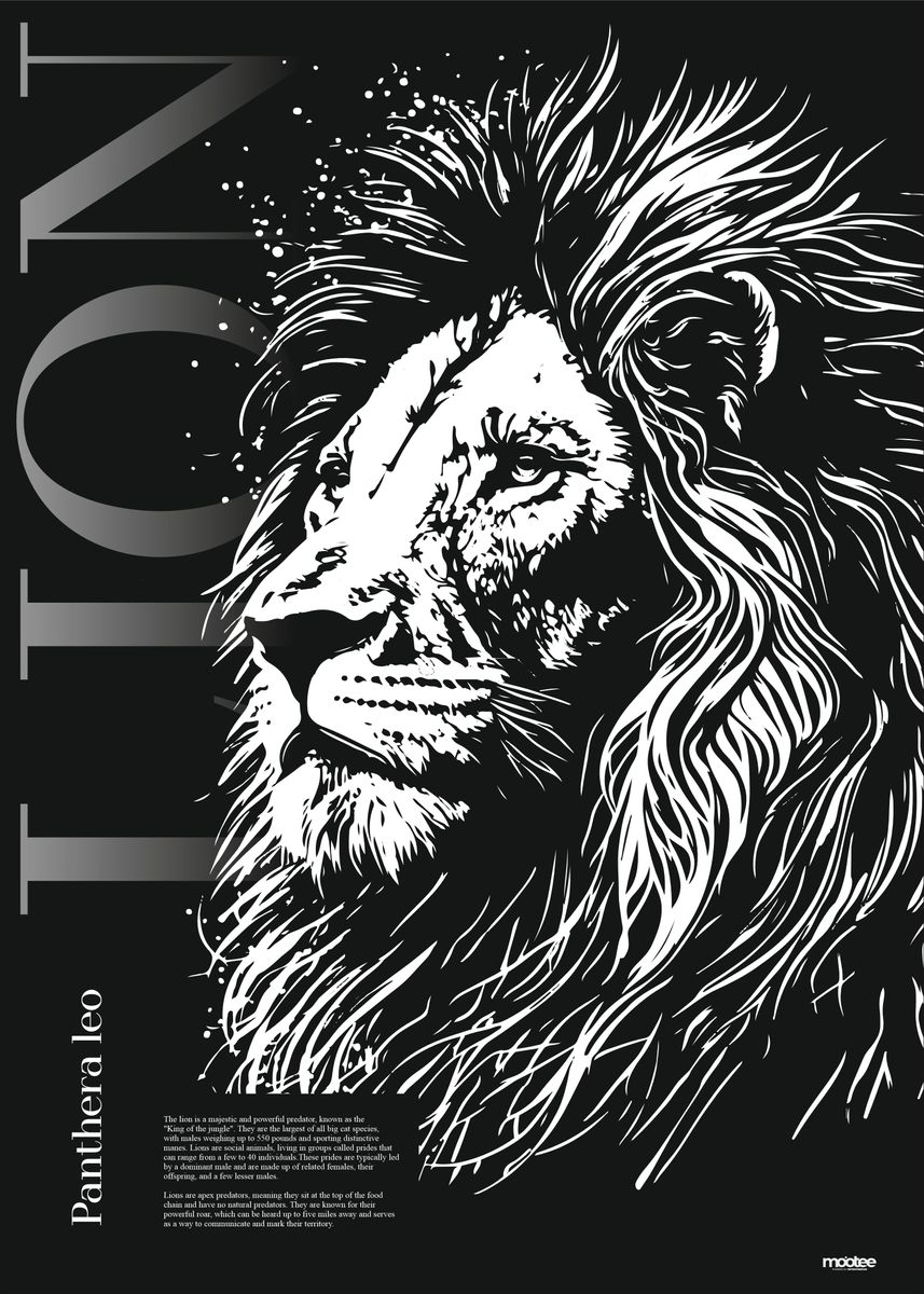 'My name is Lion' Poster by Mootee Space | Displate
