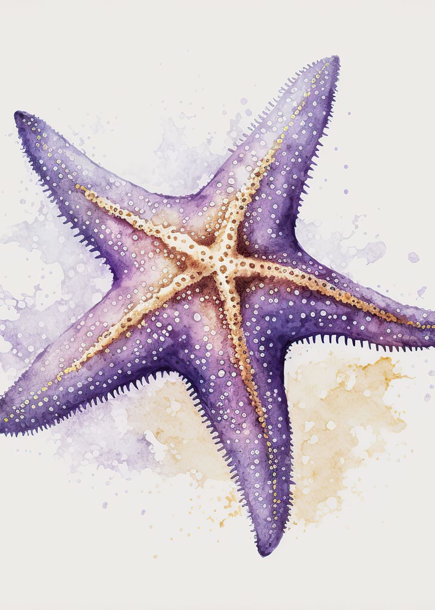 'watercolour starfish ' Poster, picture, metal print, paint by lauren ...