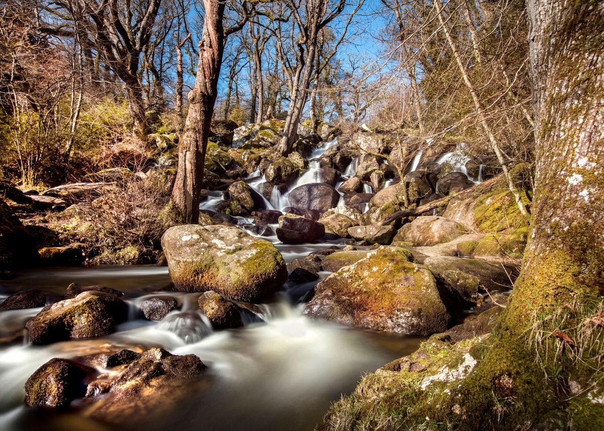 'Becky Falls' Poster by David Hare | Displate