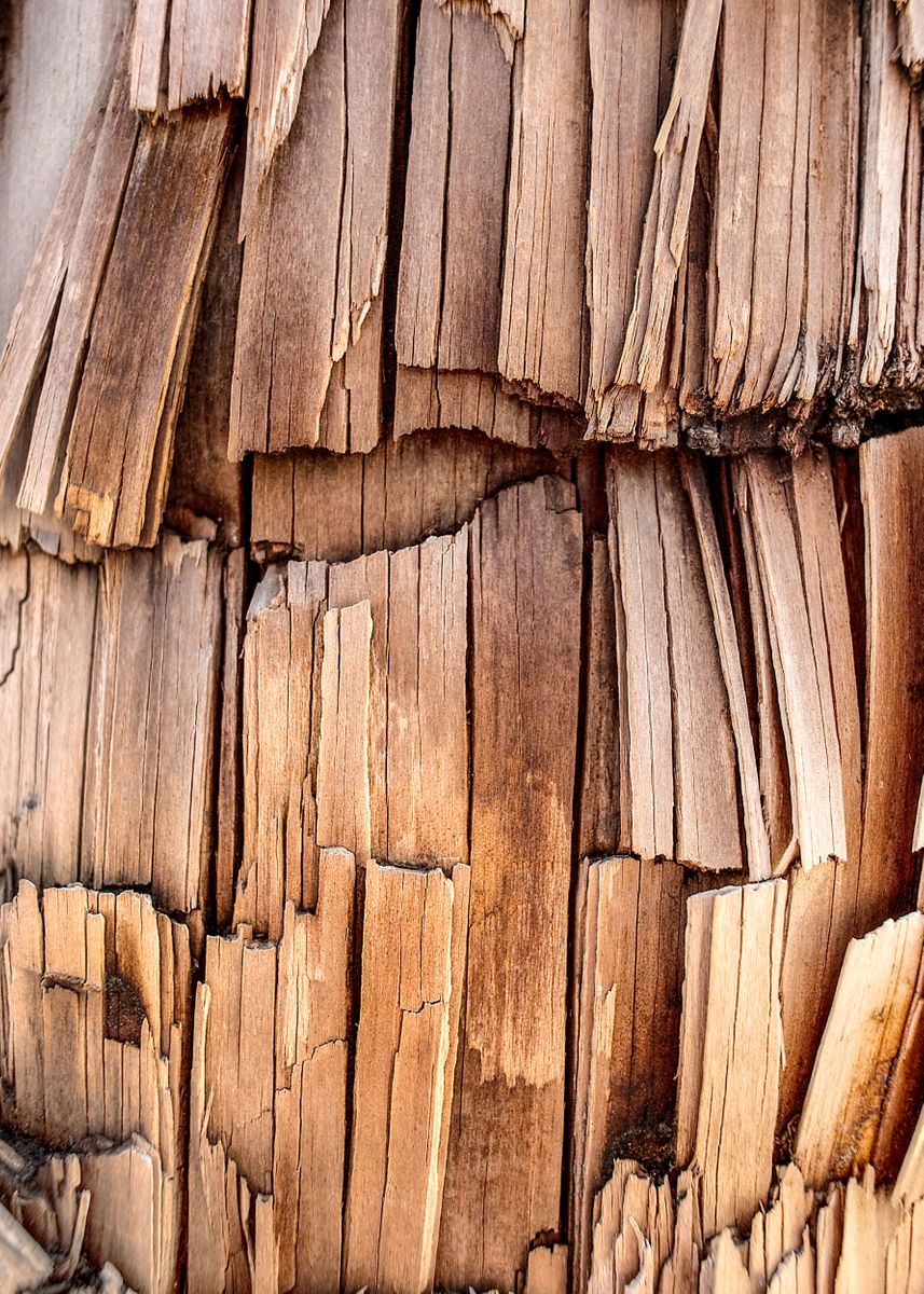 'Splintered Wood' Poster, picture, metal print, paint by Bruce ...