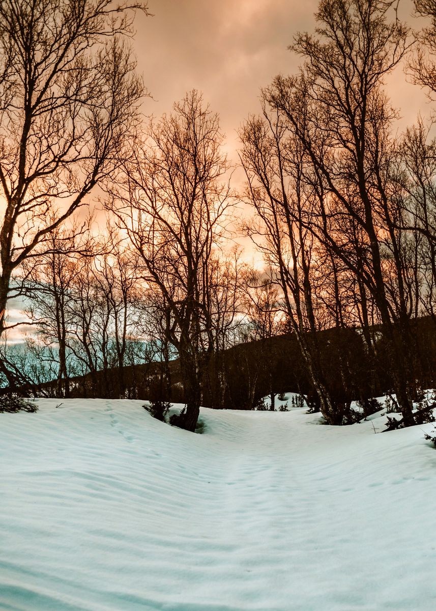 'SNOW FOREST' Poster, picture, metal print, paint by LuckStory | Displate