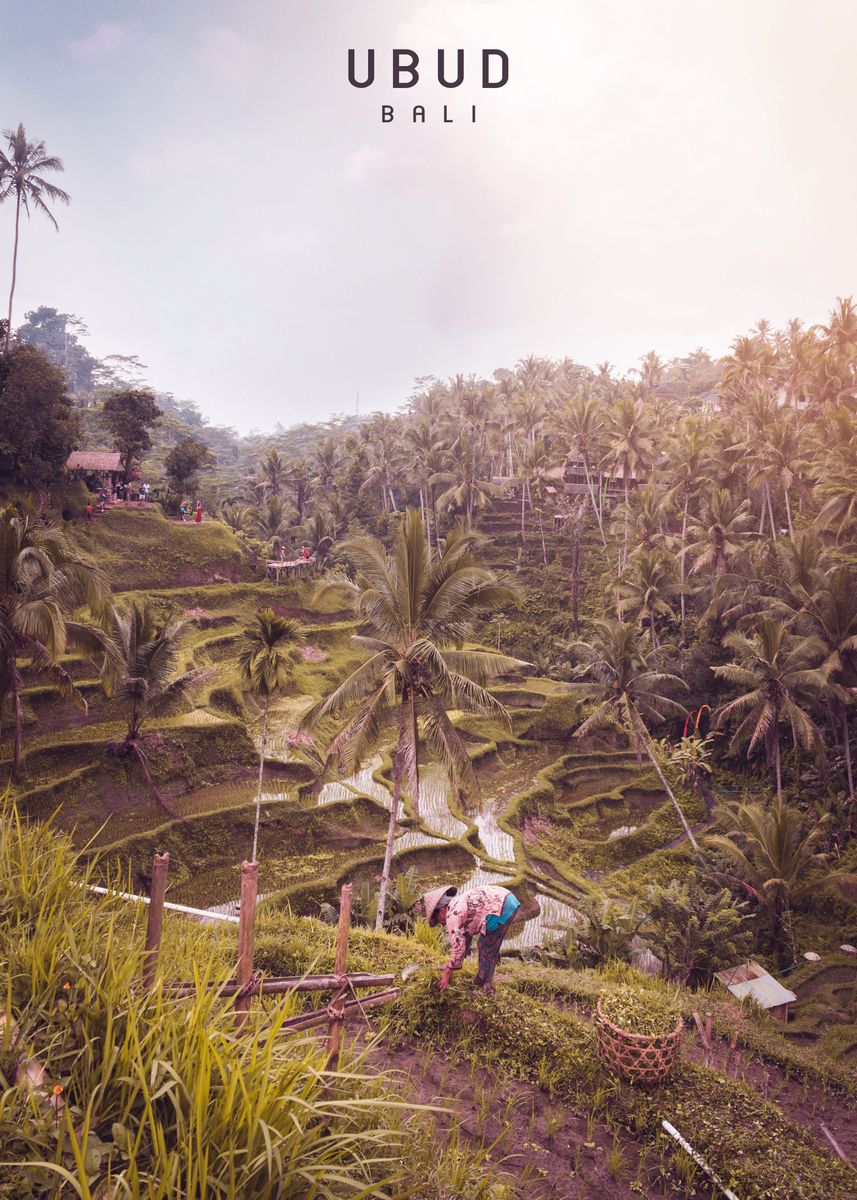 'Ubud ' Poster, picture, metal print, paint by Famous City | Displate
