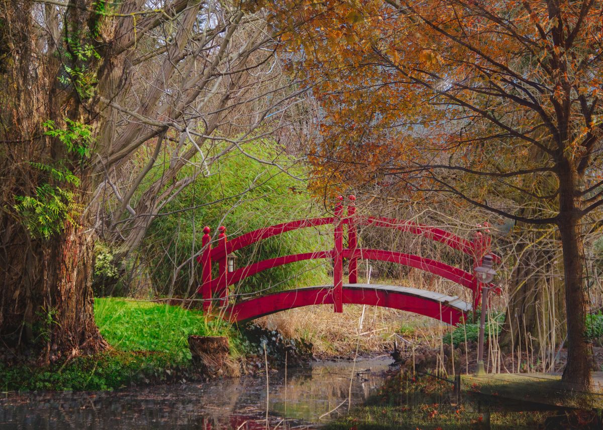 'Magic garden' Poster by MalCinga | Displate