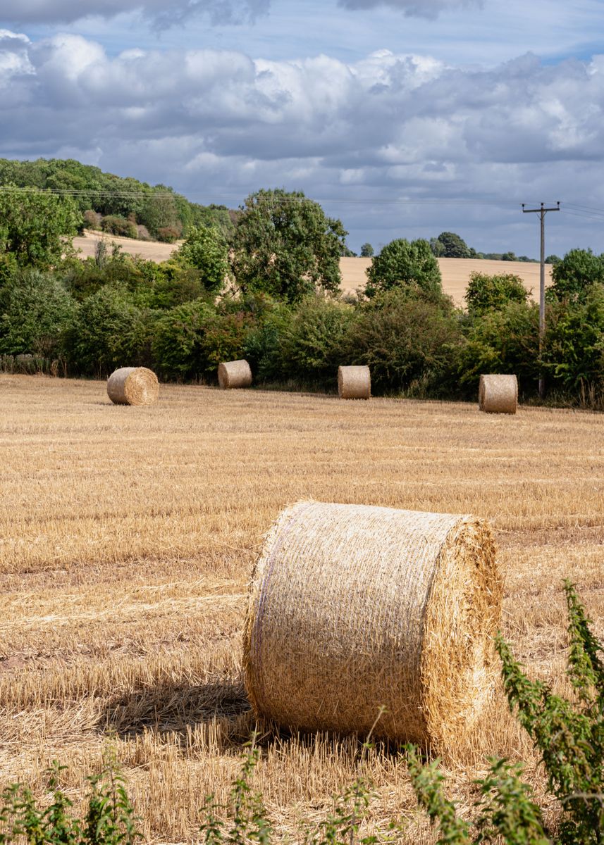 'Hay Bales on the Farm' Poster, picture, metal print, paint by Nathan ...