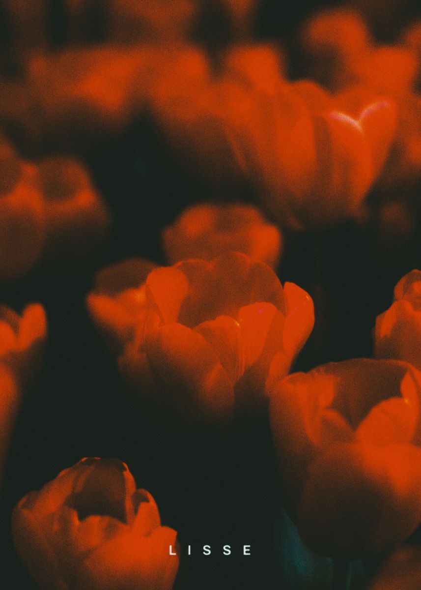 'Lisse' Poster, picture, metal print, paint by Visitify | Displate