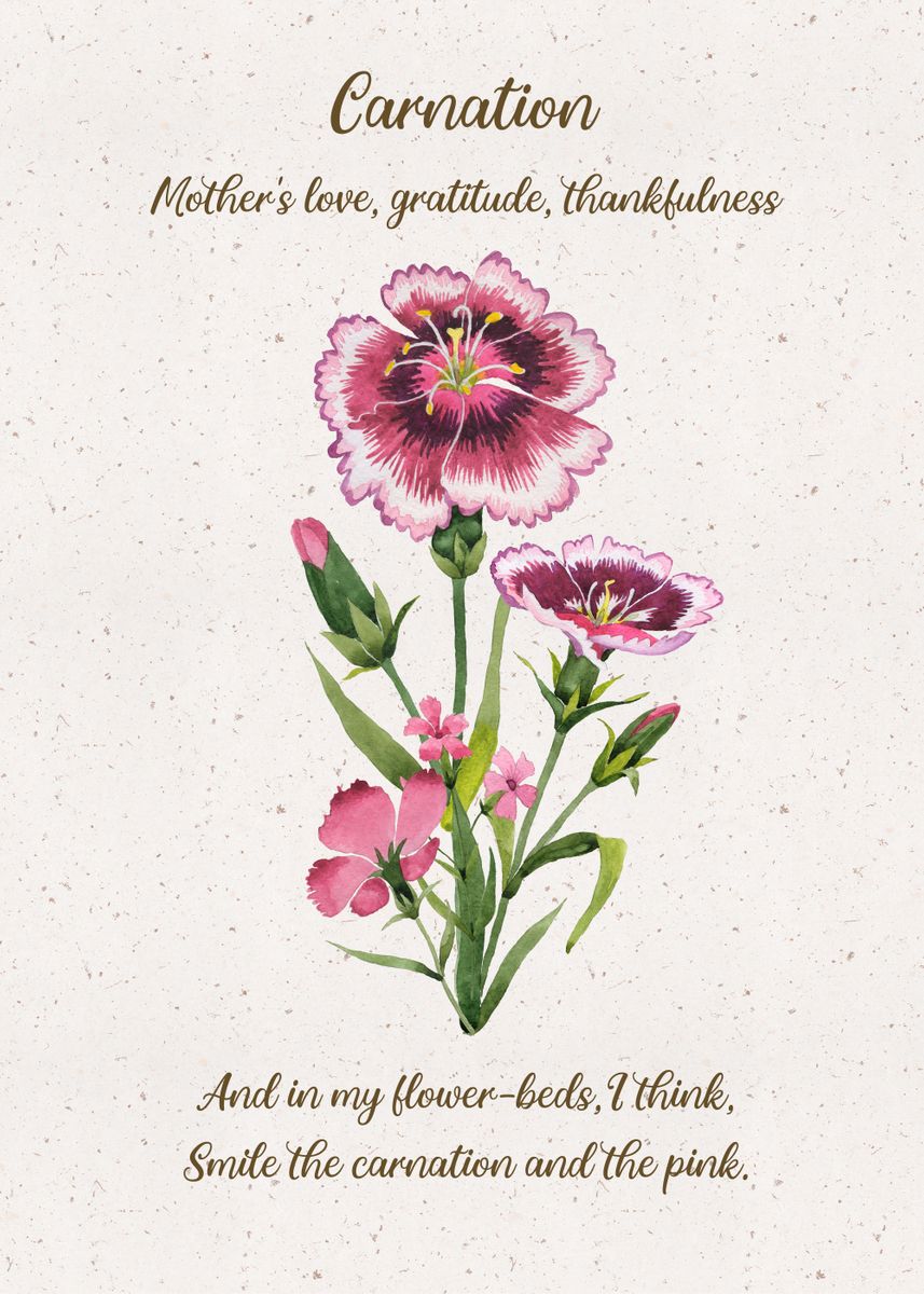 'Carnation Language' Poster, picture, metal print, paint by XandYart ...