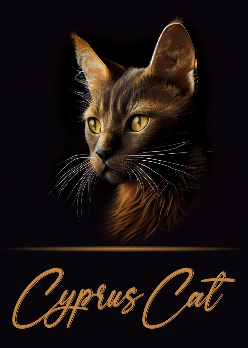 'Cyprus Cat' Poster, picture, metal print, paint by Artistic Paradigms ...