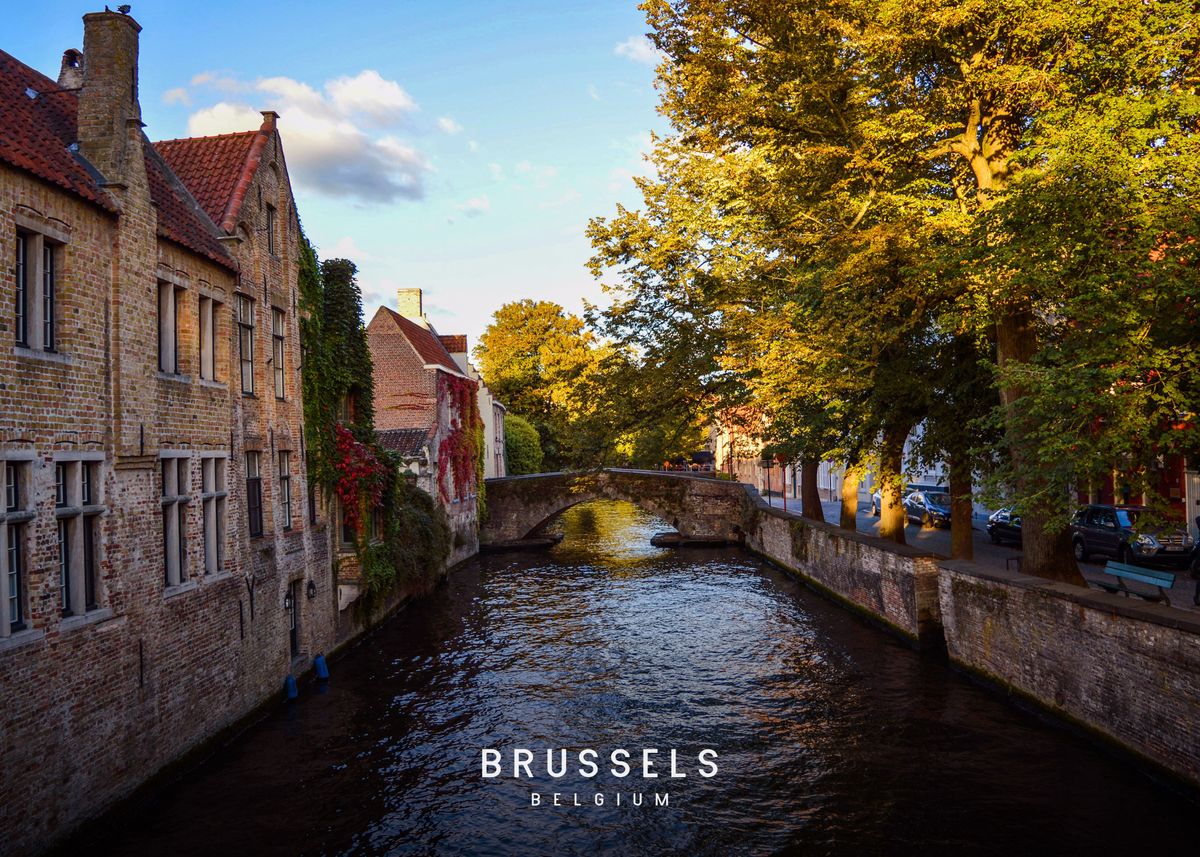 'Brussels ' Poster by Big City | Displate
