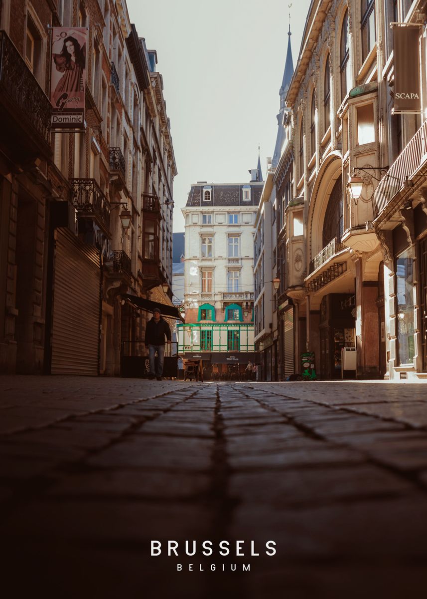 'Brussels ' Poster, picture, metal print, paint by Big City | Displate