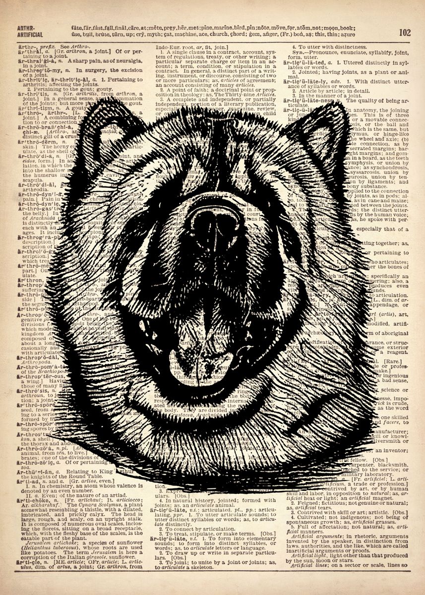 'Chow Chow Dog line drawing' Poster, picture, metal print, paint by Art ...