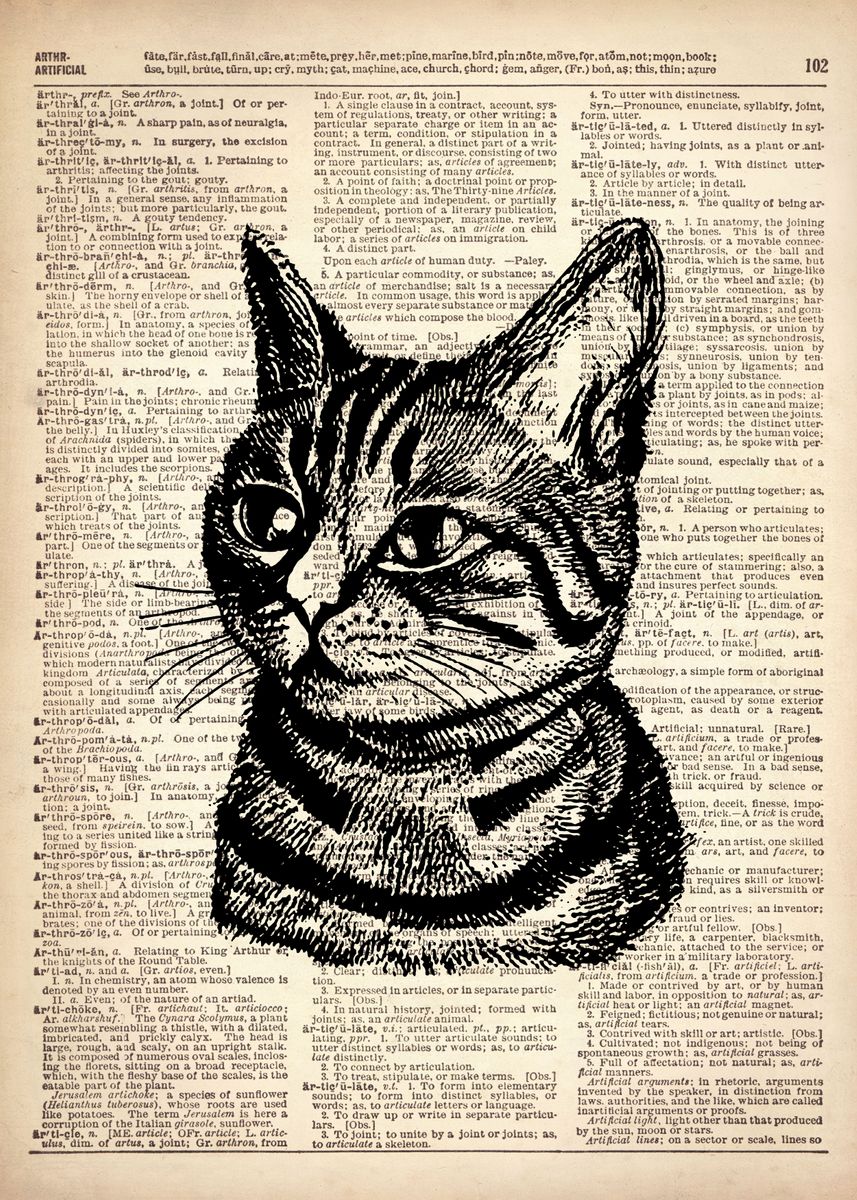 'Cat line drawing black' Poster, picture, metal print, paint by Art ...