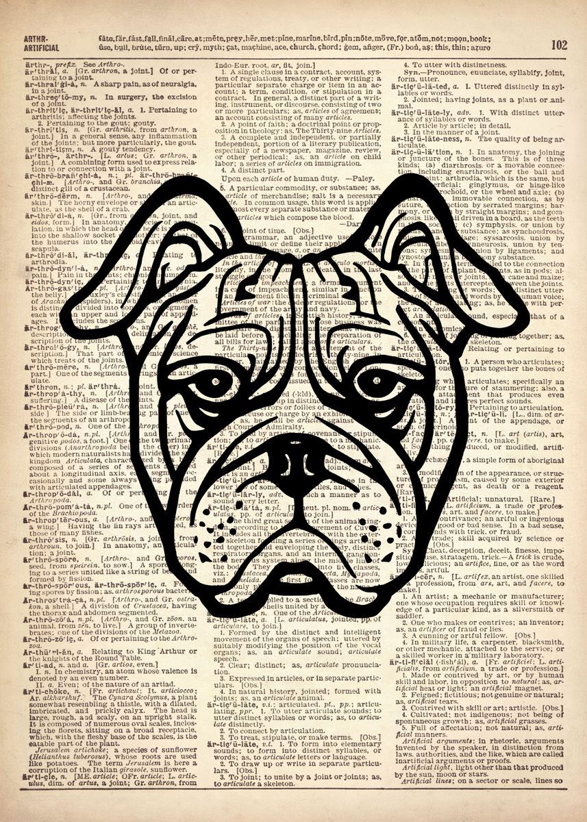 'Bulldog line drawing ' Poster, picture, metal print, paint by Art ...