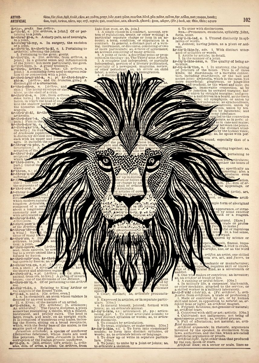 'Lion line drawing ' Poster, picture, metal print, paint by Art popop ...