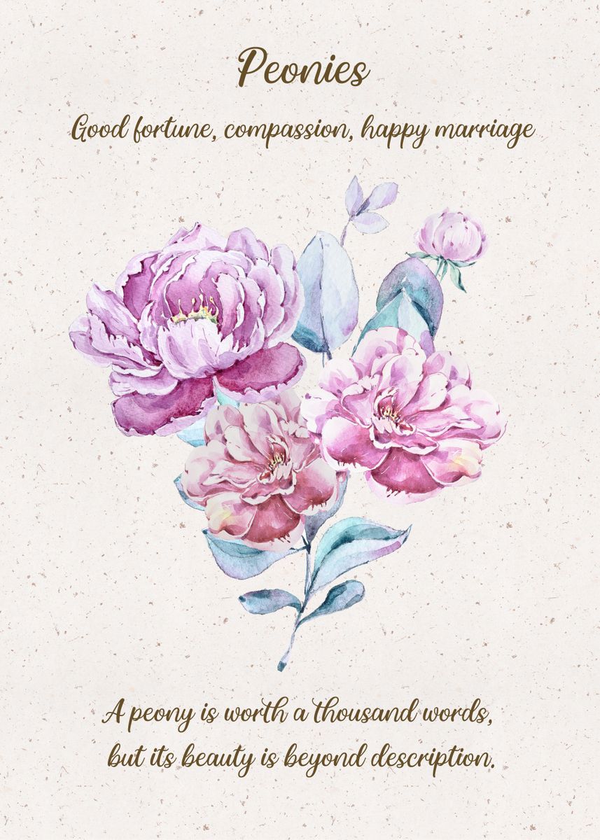 'Peony Flower Language' Poster, picture, metal print, paint by XandYart ...