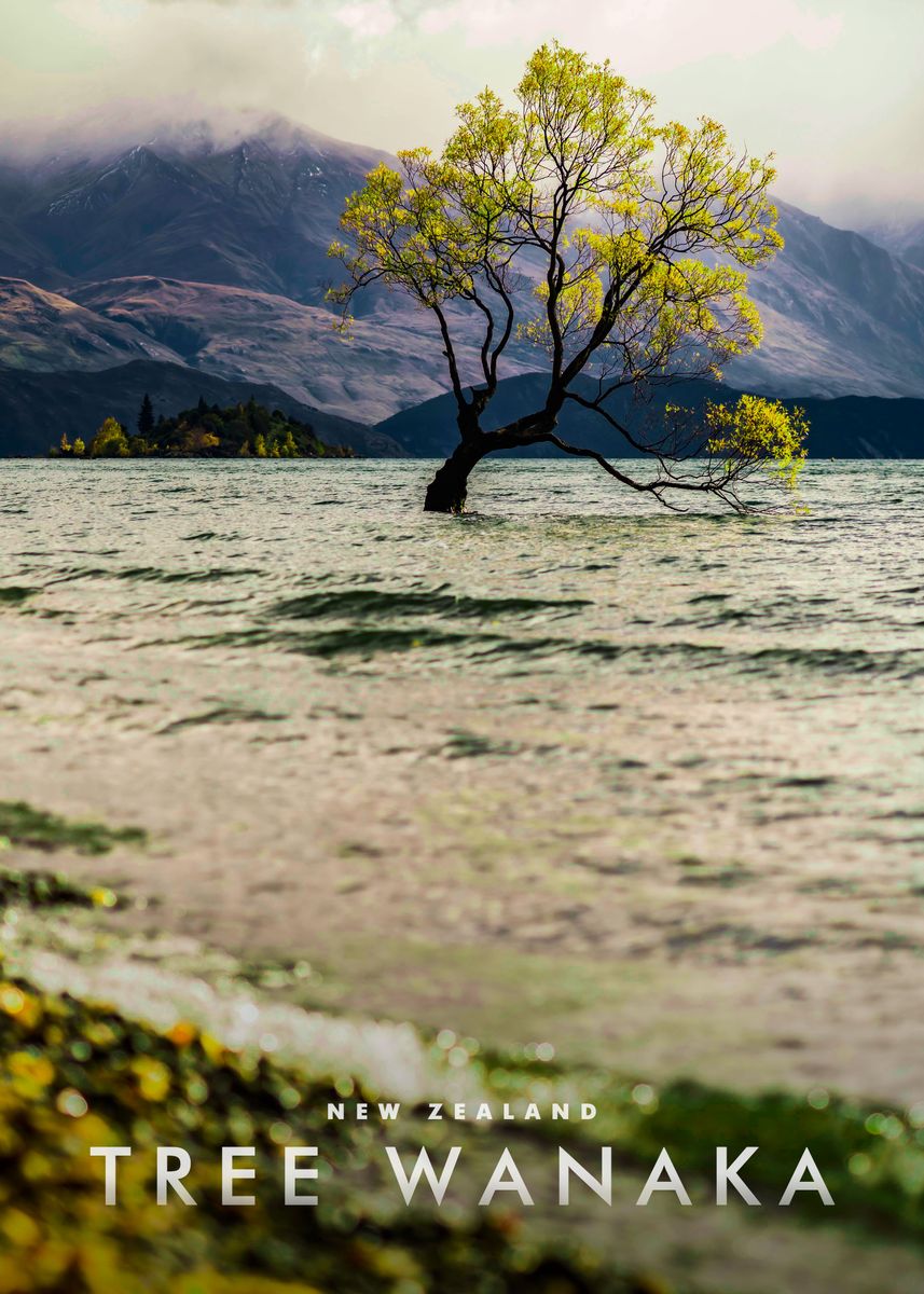 'Wanaka' Poster, picture, metal print, paint by Fariedsfth | Displate