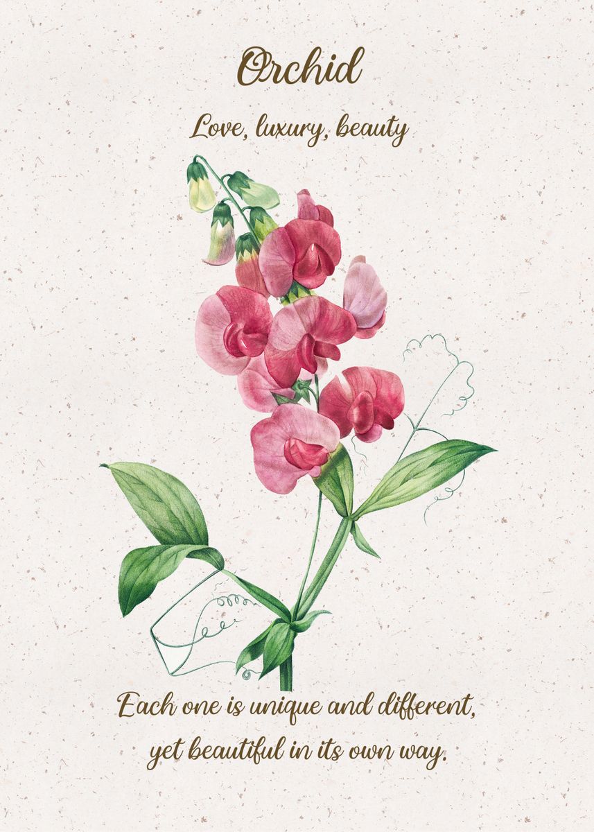 'Orchid Flower Language' Poster, picture, metal print, paint by ...