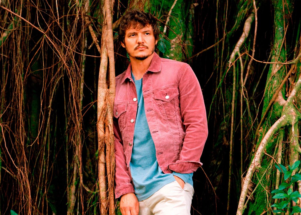 'Pedro Pascal' Poster by Finn Vidtak | Displate