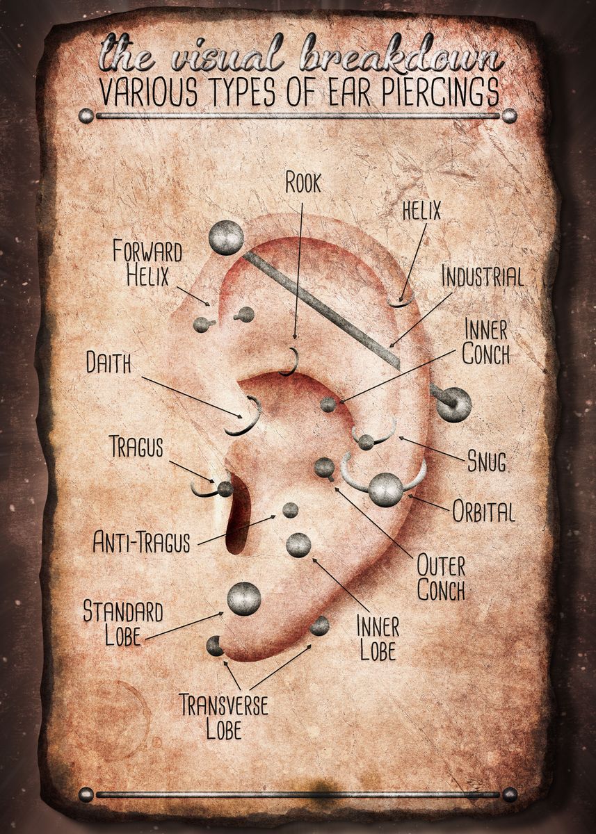 'Old Ear Piercing Chart' Poster, picture, metal print, paint by Jarrod ...