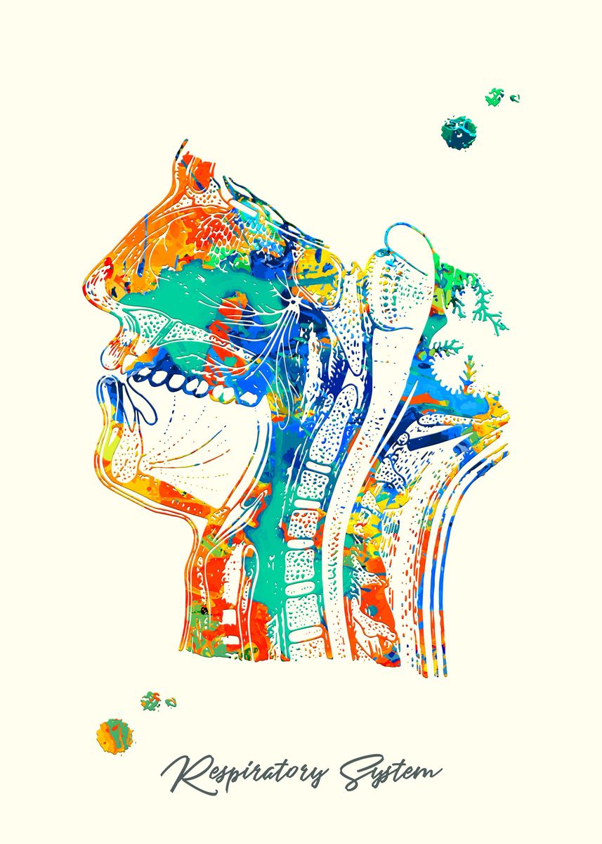 'Respiratory System' Poster, picture, metal print, paint by Vincent ...