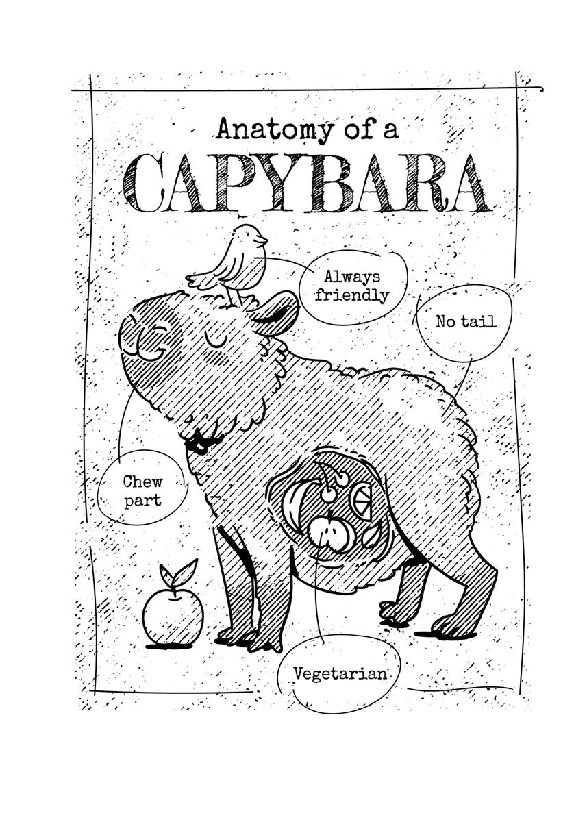 'Tote Cute Capybara Anatomy' Poster, picture, metal print, paint by ...