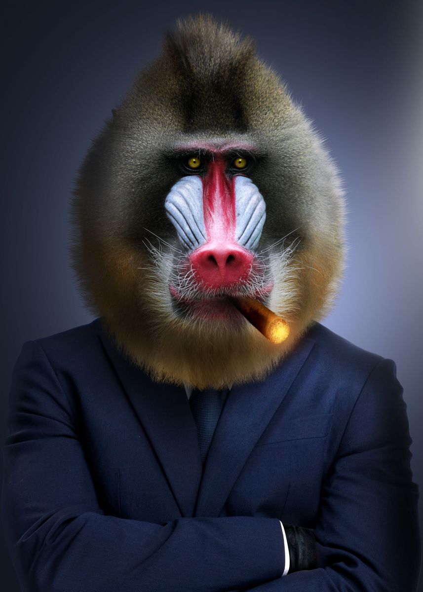 'Classy Cool Baboon' Poster, picture, metal print, paint by Zenz | Displate