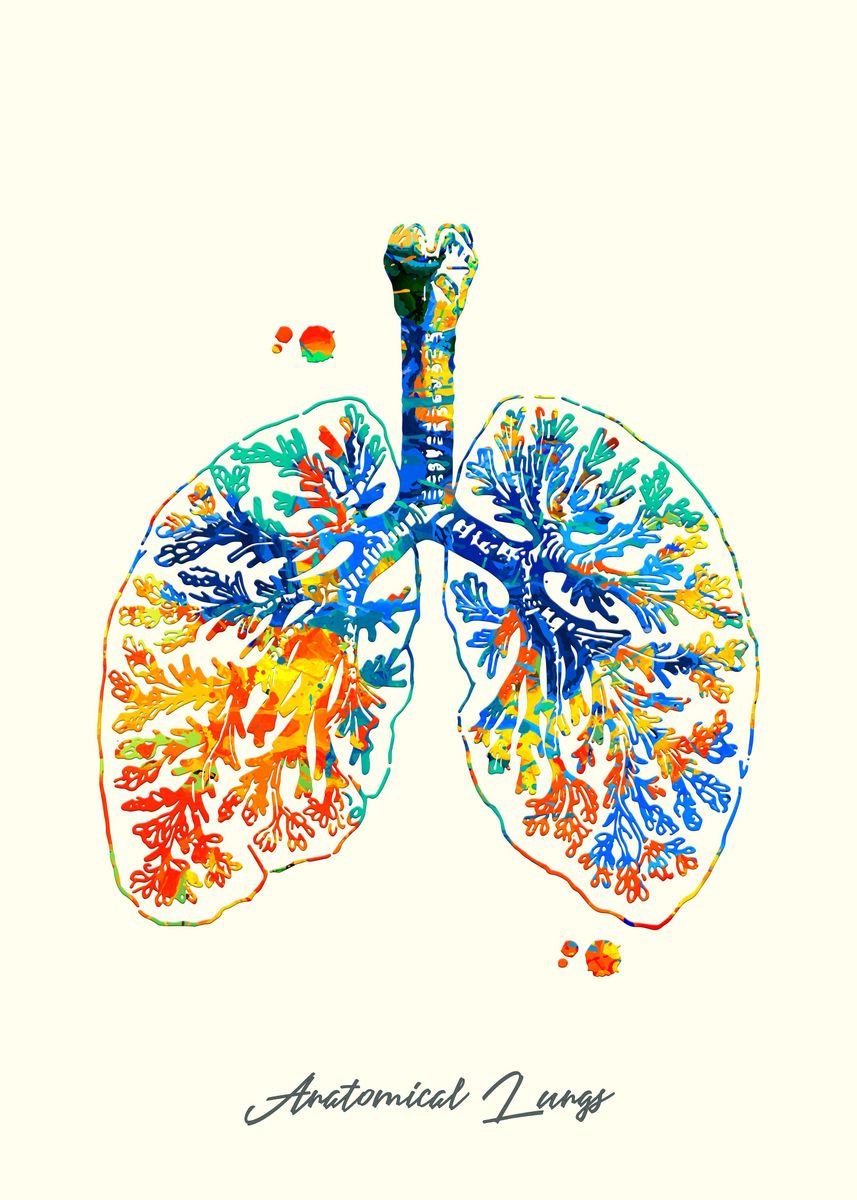 'Anatomical Lungs' Poster, picture, metal print, paint by Vincent Vorce ...