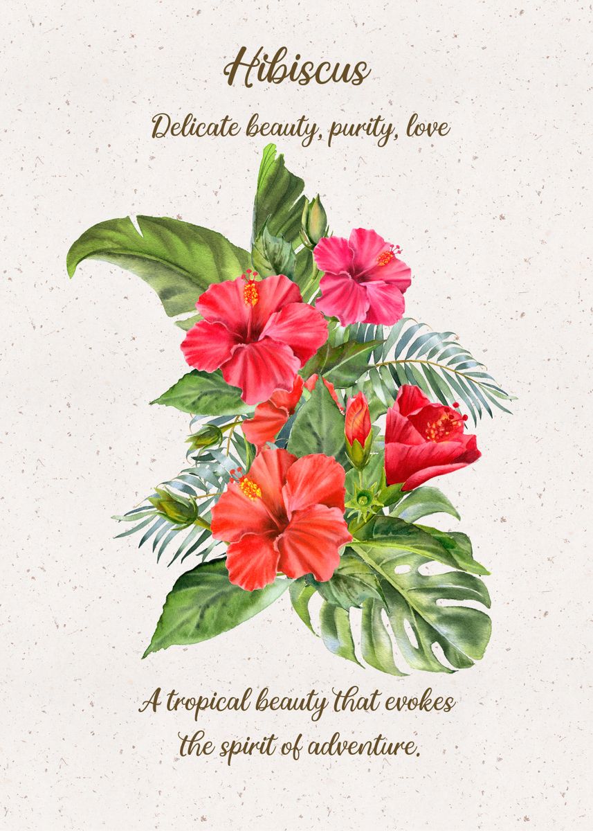 'Hibiscus Flower Language' Poster, picture, metal print, paint by ...