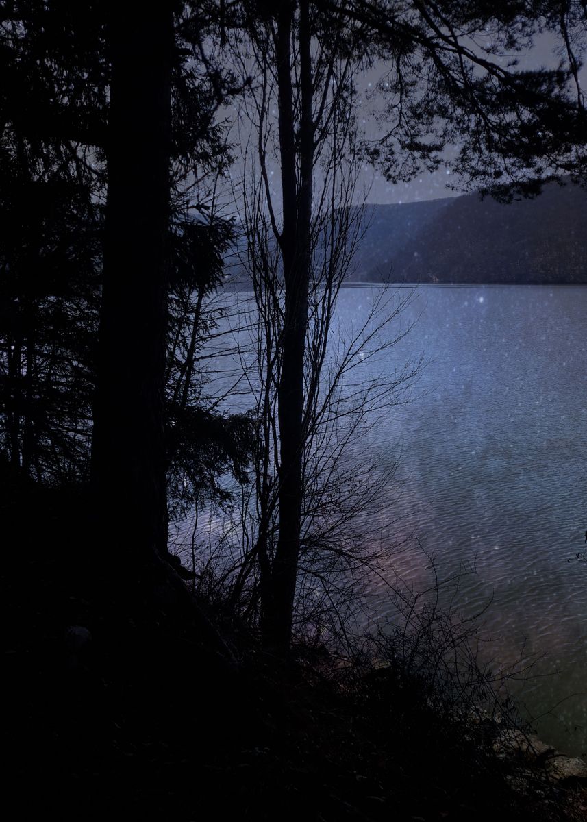 'Midnight by the lake' Poster, picture, metal print, paint by Edy Art ...