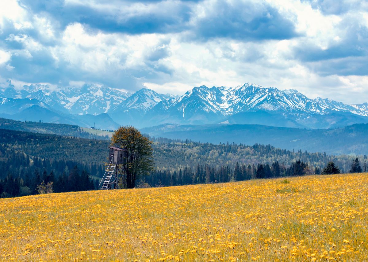 'Spring in the mountains' Poster by anettastar | Displate