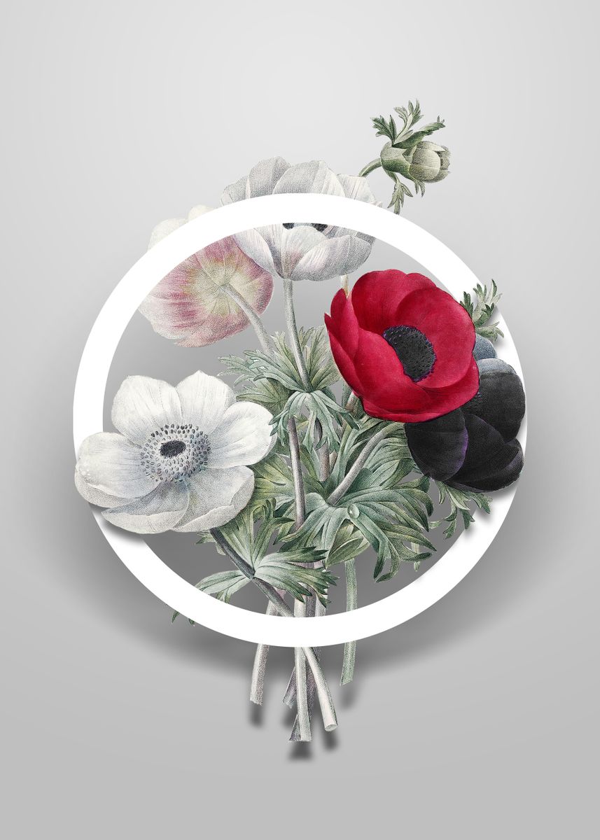 'Anemone Simplex Flower Art' Poster, picture, metal print, paint by ...